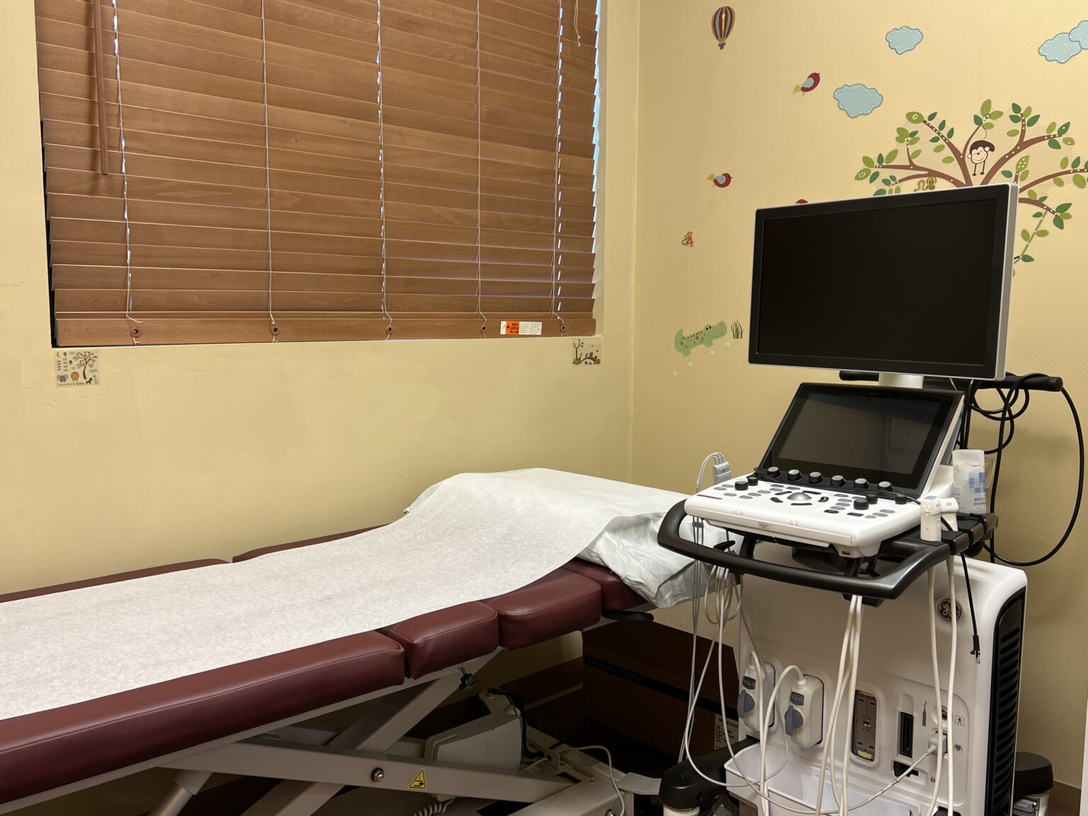 Echocardiogram: Understanding the Heart Test - Heart Care for Adults ...